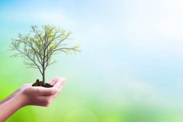 Complete Guide to Garage Construction, Repair, and Demolition in ...